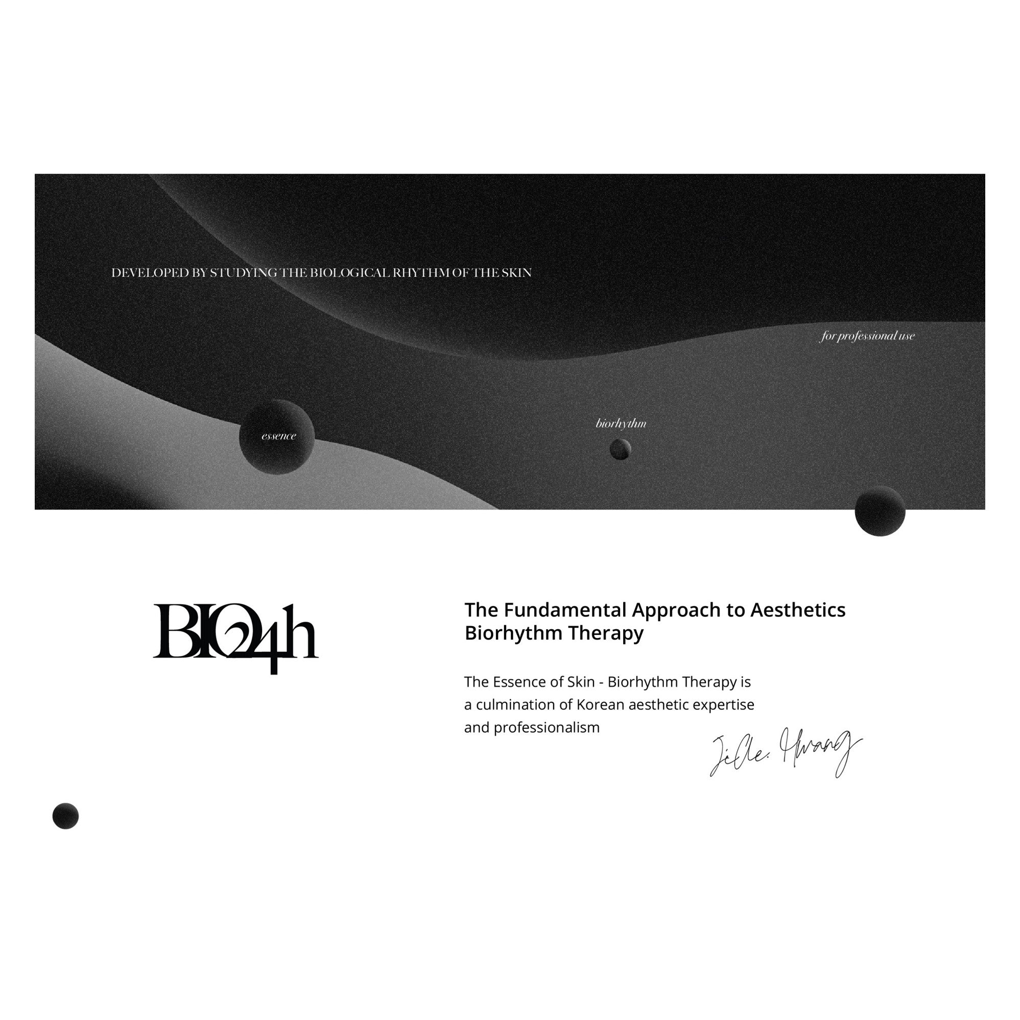 Bio24h Leaflet – Pure Raum